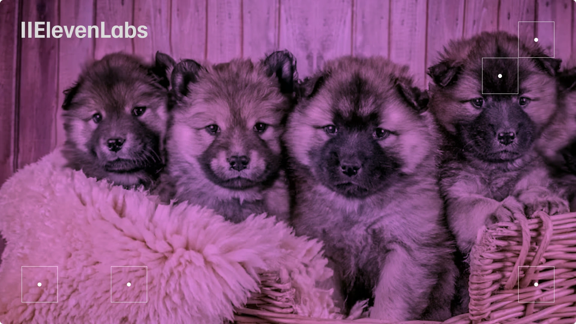 Introducing Text To Bark: a breakthrough in AI Pawdio