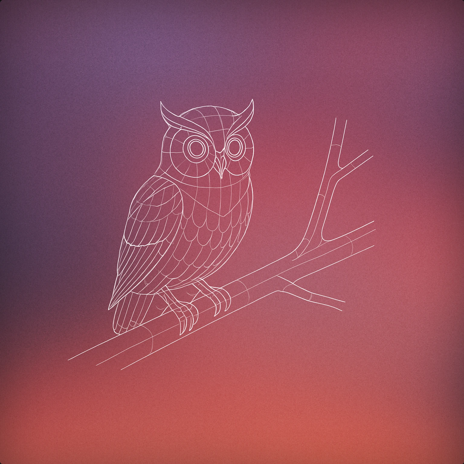 Download Free Forest Night MP3 Sound Effects – High-Quality SFX