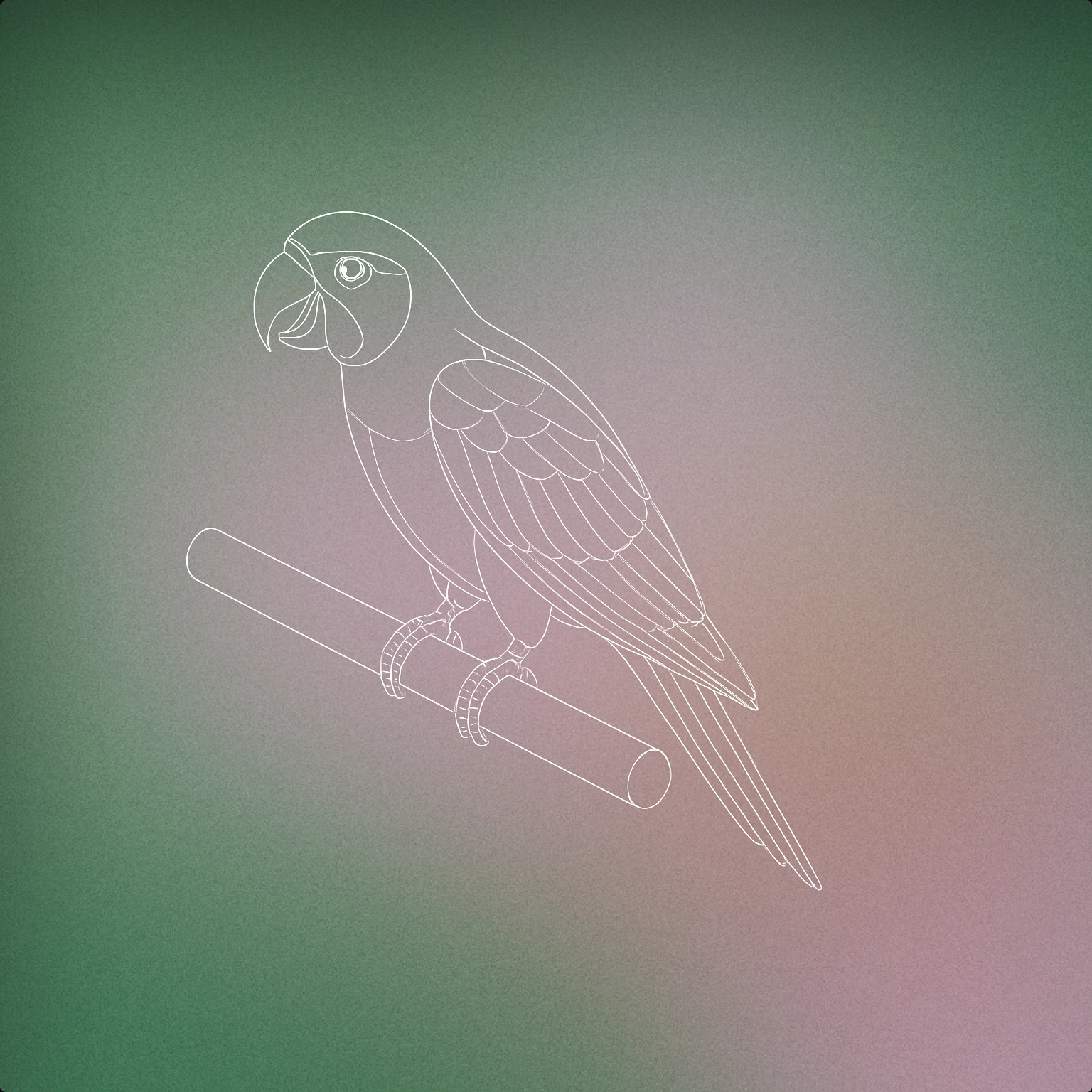 Download Free Parrot MP3 Sound Effects – High-Quality SFX