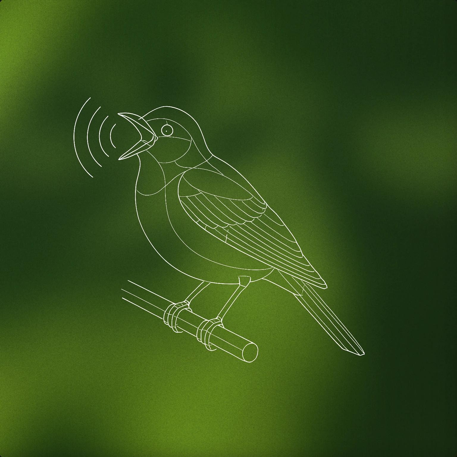Download Free Bird MP3 Sound Effects – High-Quality SFX