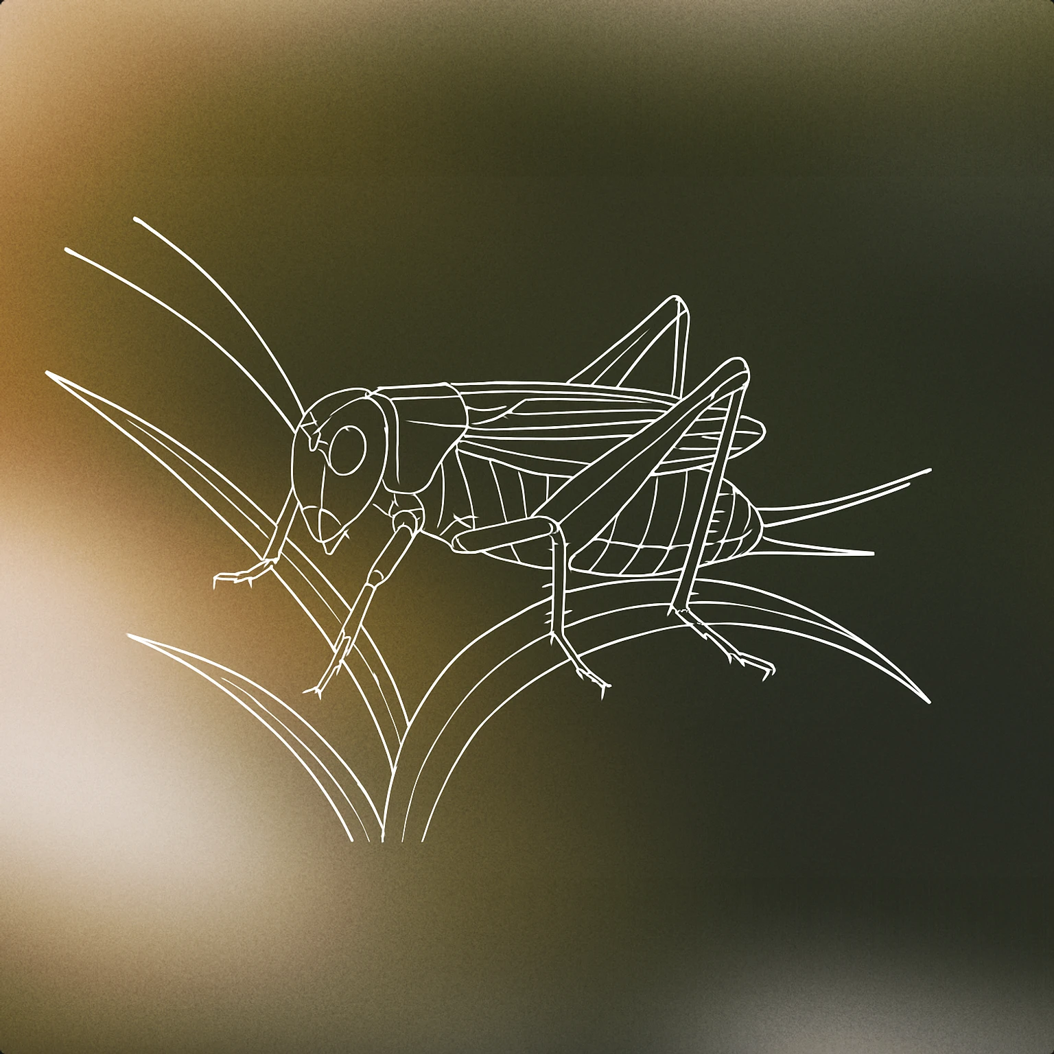 Free Crickets Sound Effects Generator: The Best Free AI SFX