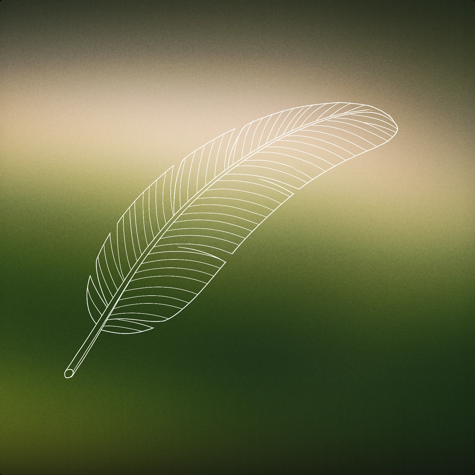 Download Free Wings Flapping MP3 Sound Effects – High-Quality SFX
